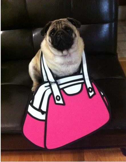 Home of 2D Bags - 2D Backpacks - SALE!