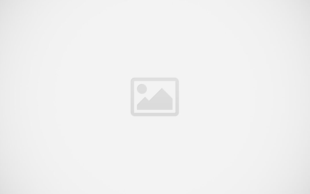 placeholder.jpg - 2D Bags